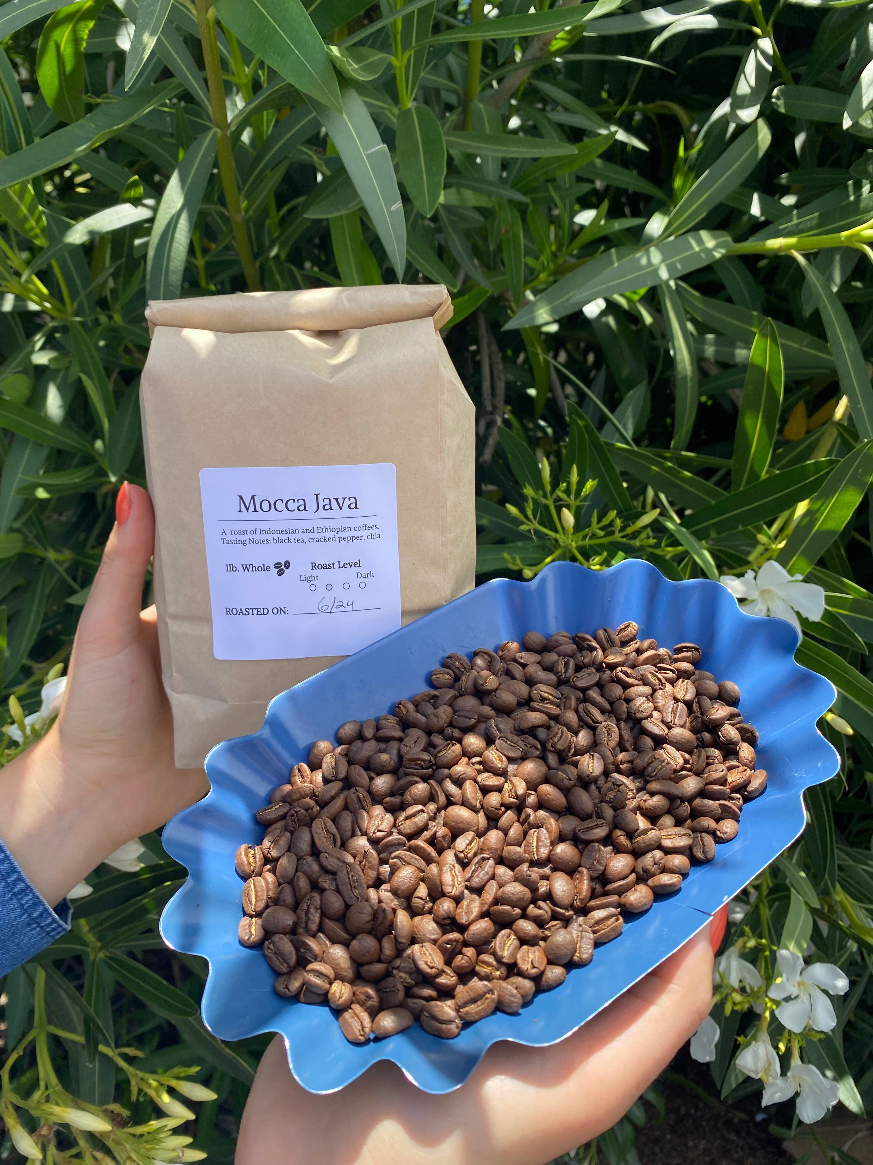 Mocca Java | Coastal Peaks Coffee