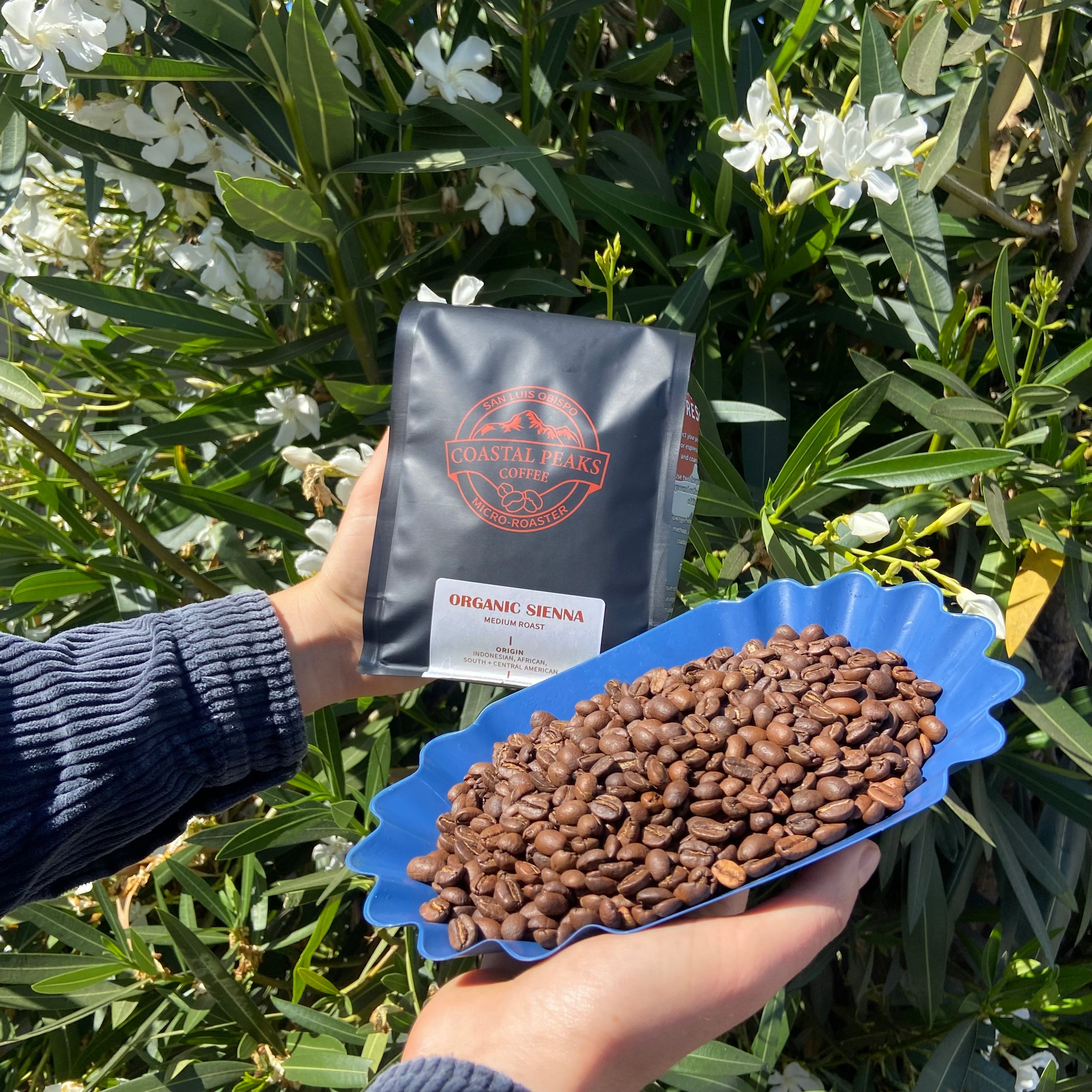 Organic Sienna | Coastal Peaks Coffee