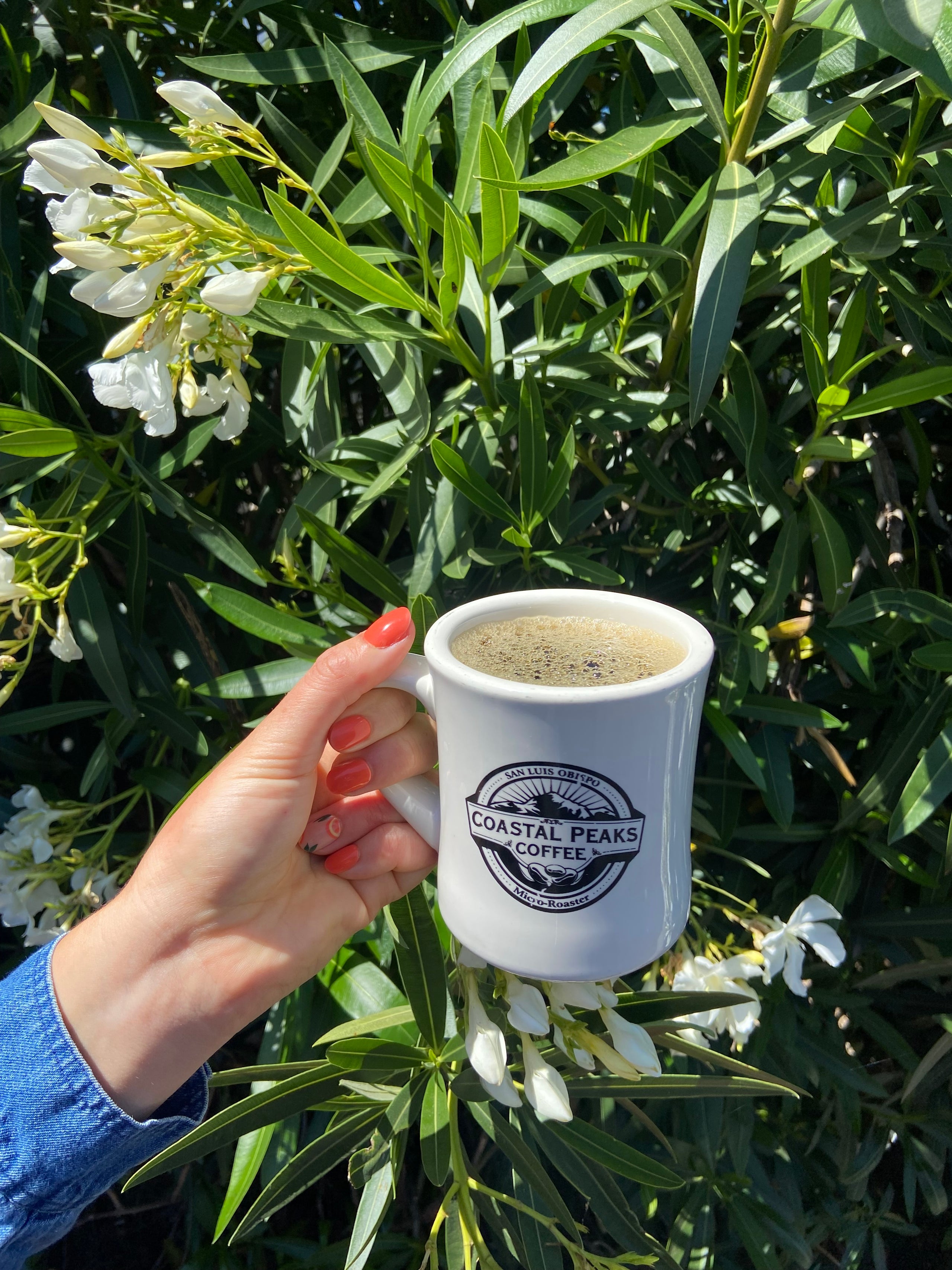 Drip Coffee | Coastal Peaks Coffee