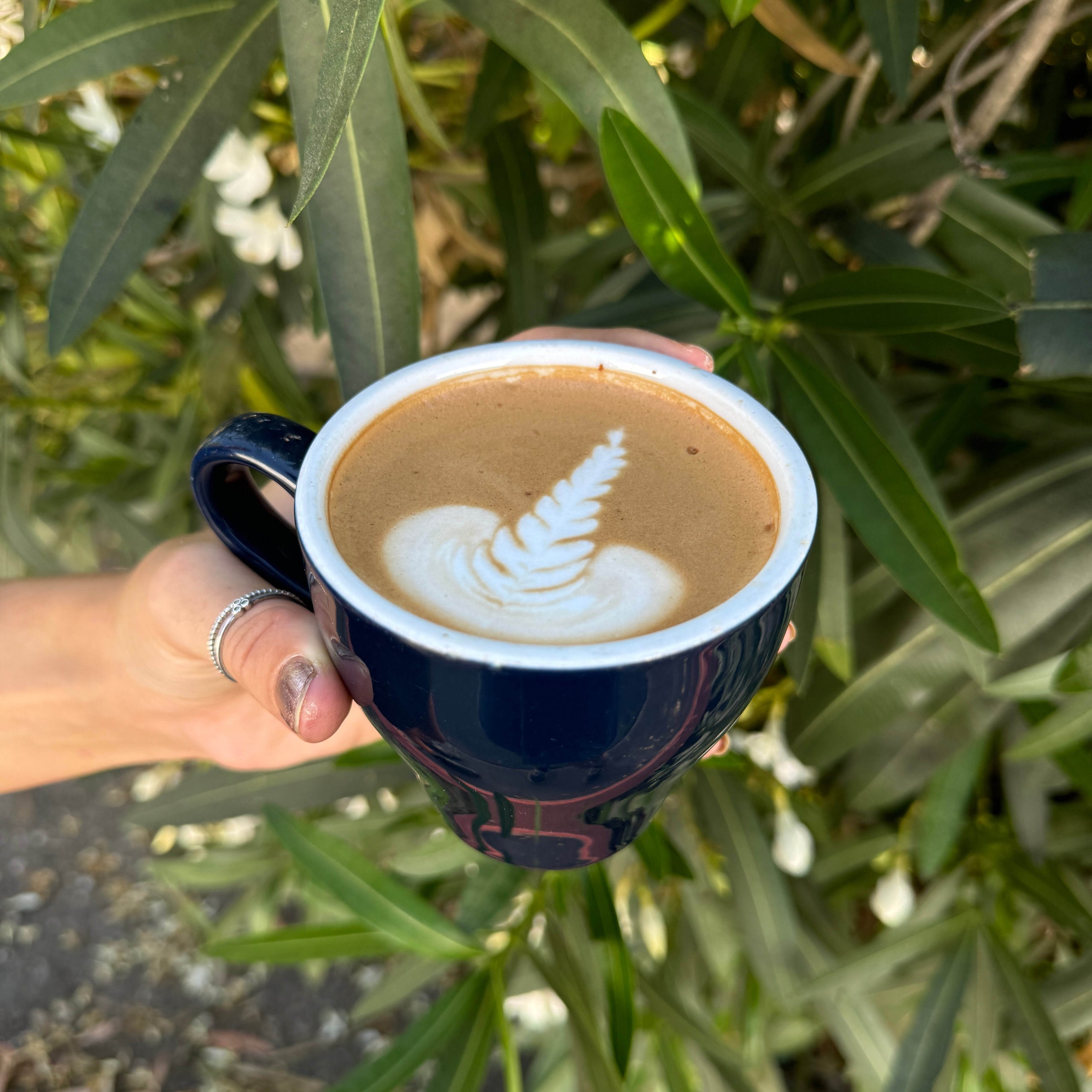 Mocha | Coastal Peaks Coffee